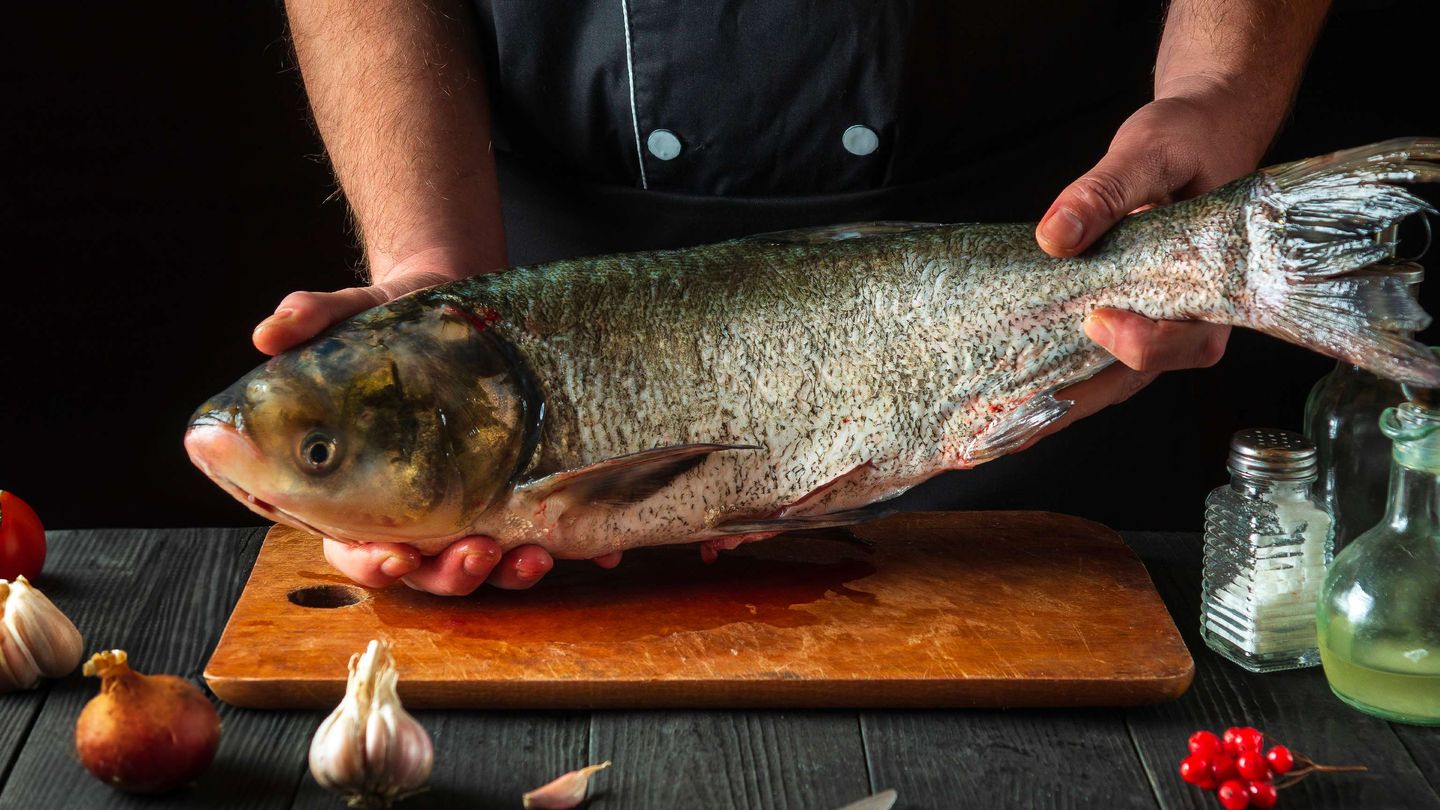 Pesce