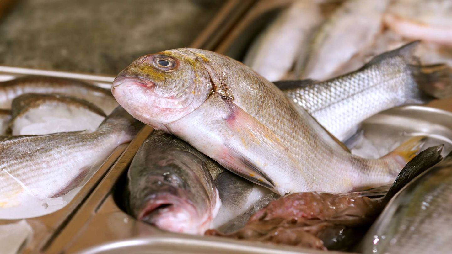 Pesce: Tecniche e ricette